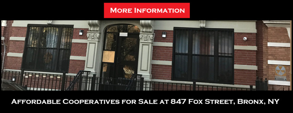 fox – Acacia Network